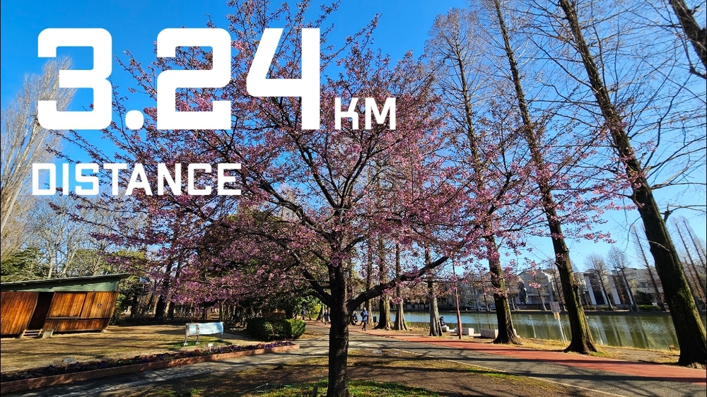 サークル朝ラン13km ... | ラントリップ