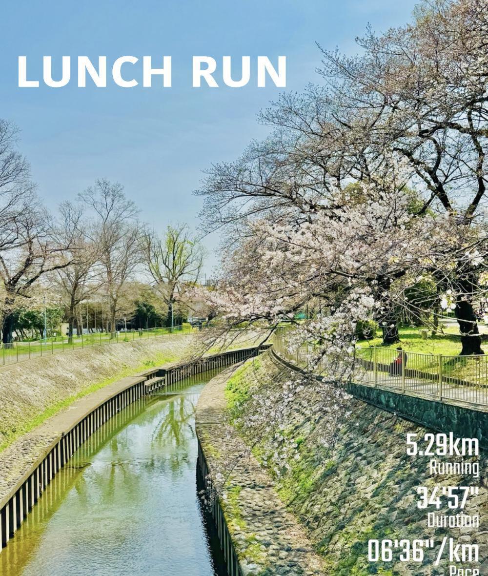 Lunch Run 昨日か... | ラントリップ