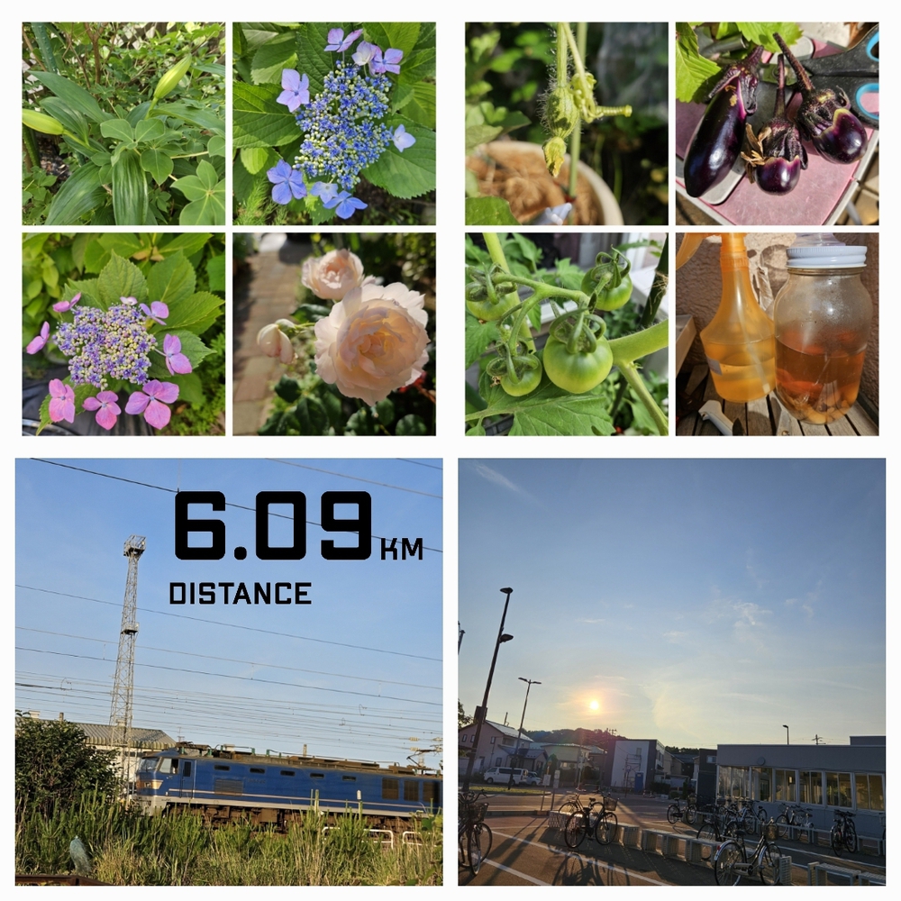 皆様おはよー☀🙋‍♀️ ... | ラントリップ