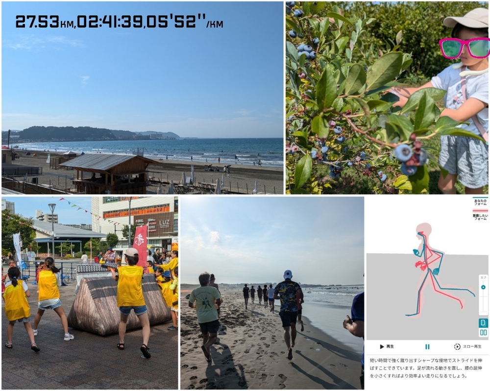 Nicerun+Nicew... | ラントリップ