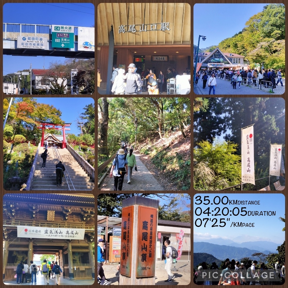 湘南まで1ヶ月を切ってしま... | ラントリップ