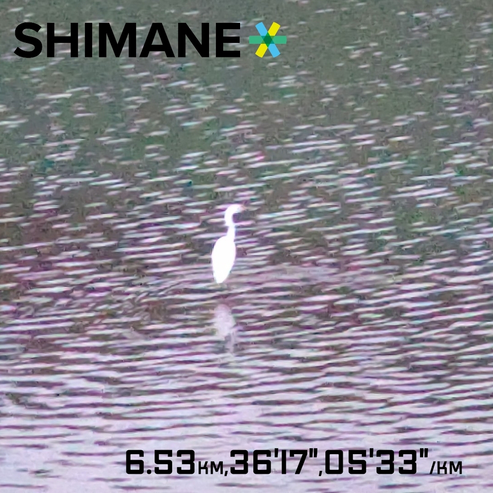 皆さんNicerun＆wa... | ラントリップ