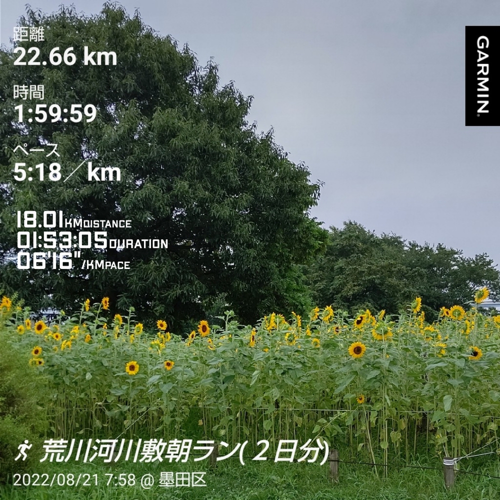 お疲れさまです🌻 皆さん... | ラントリップ