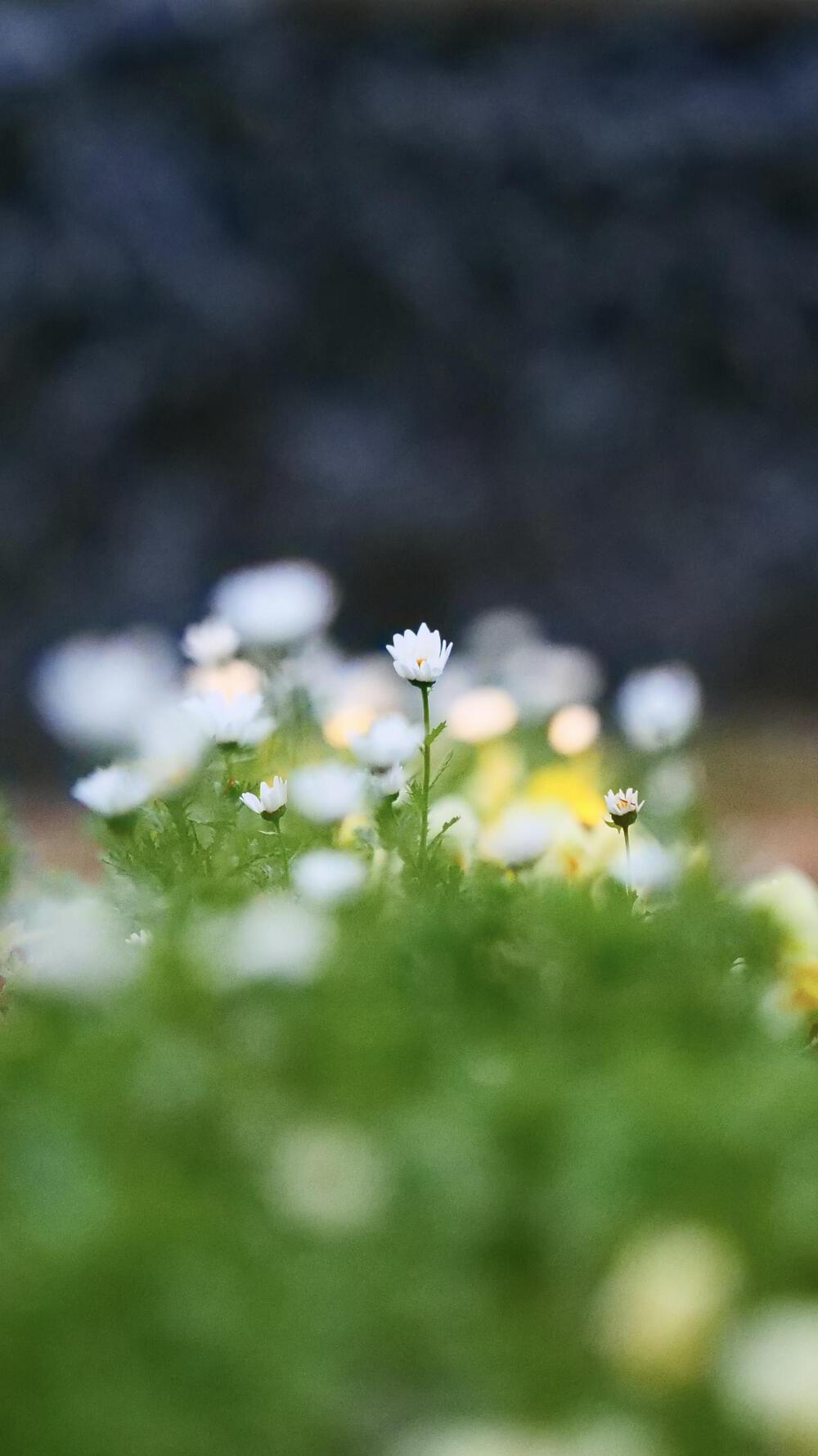 su-sunさんのマイページ | ラントリップ