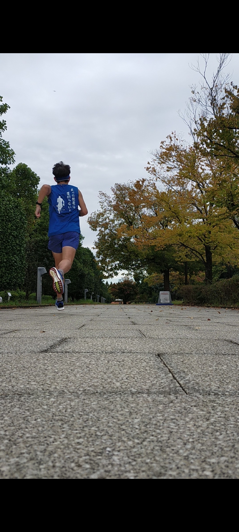 江戸川あっちゃんさんのマイページ | ラントリップ